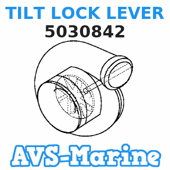 5030842 JOHNSON TILT LOCK LEVER