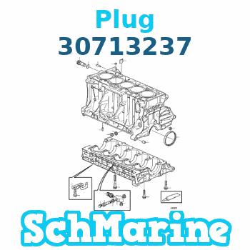 30713237 Volvo Penta Plug