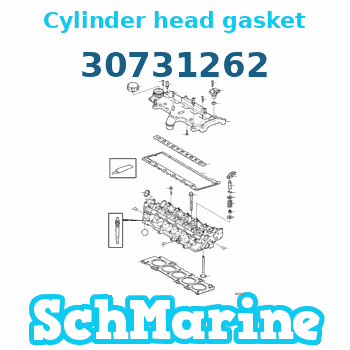 30731262 Volvo Penta Cylinder head gasket
