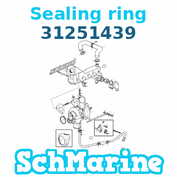 31251439 Volvo Penta Sealing ring
